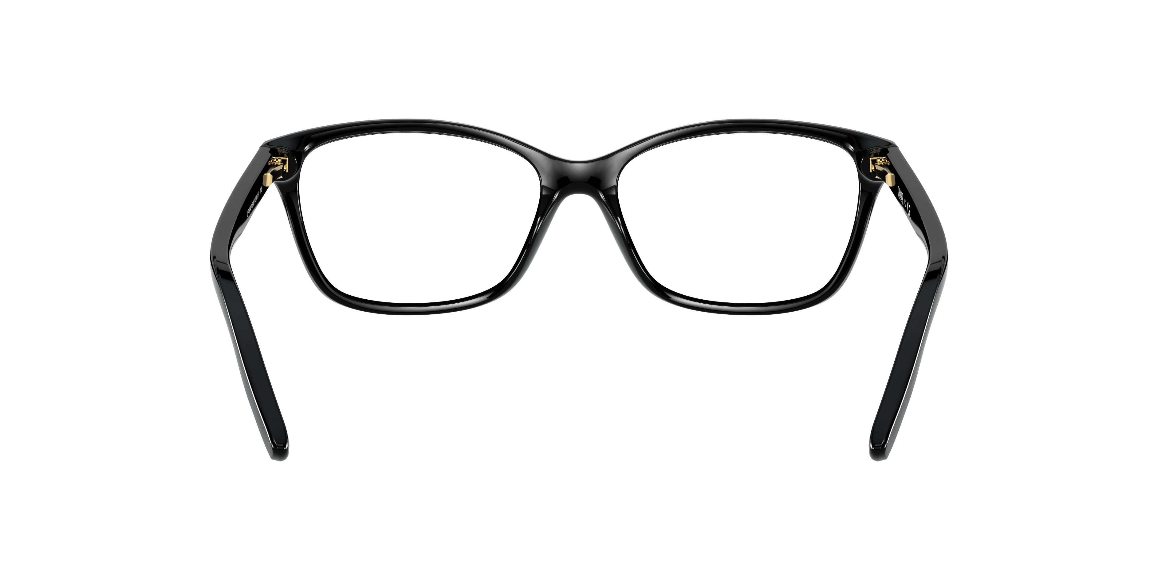 Chaps CP3049 Glasses | Clearly