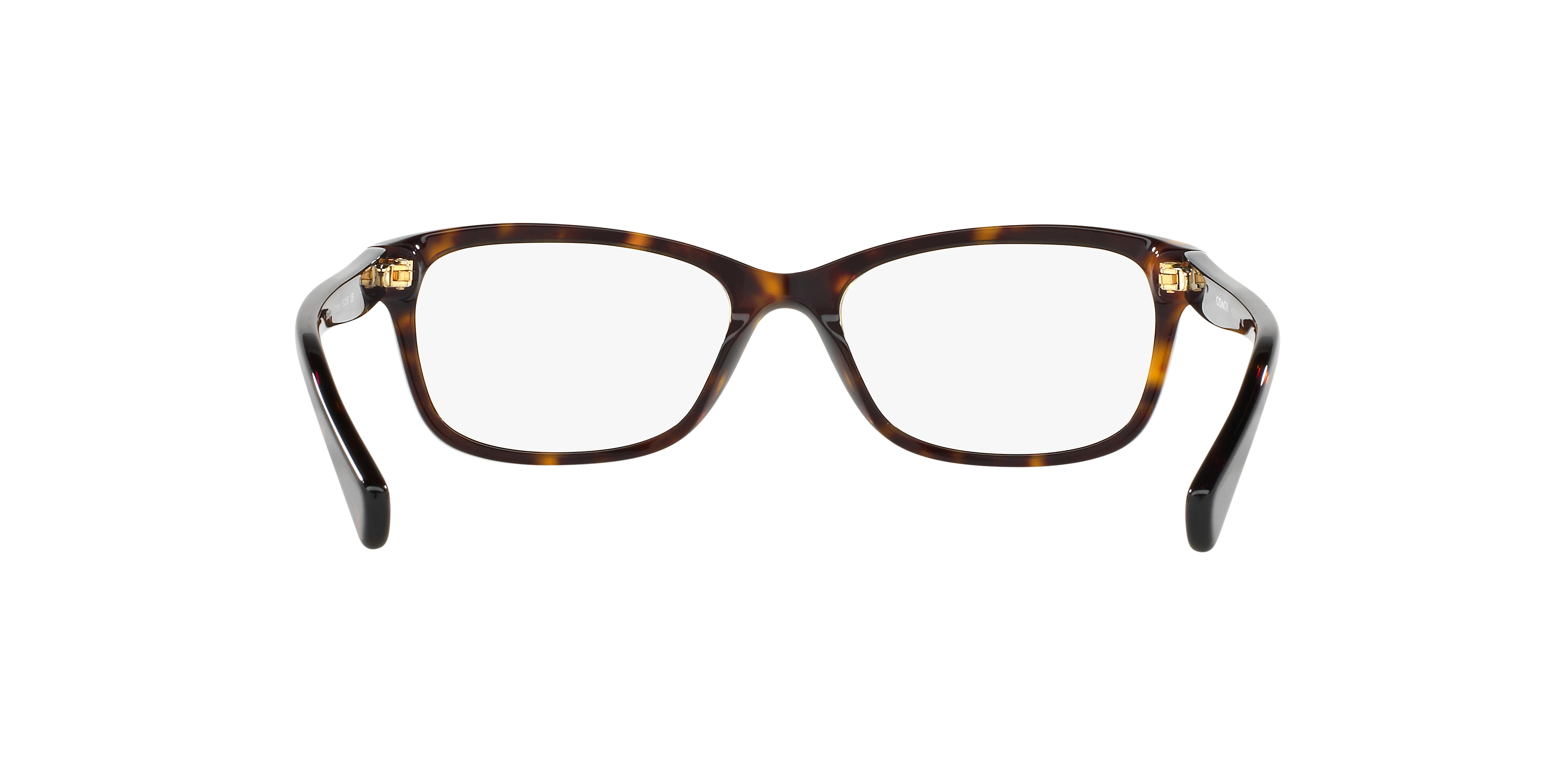 Coach HC6089 Glasses | Clearly