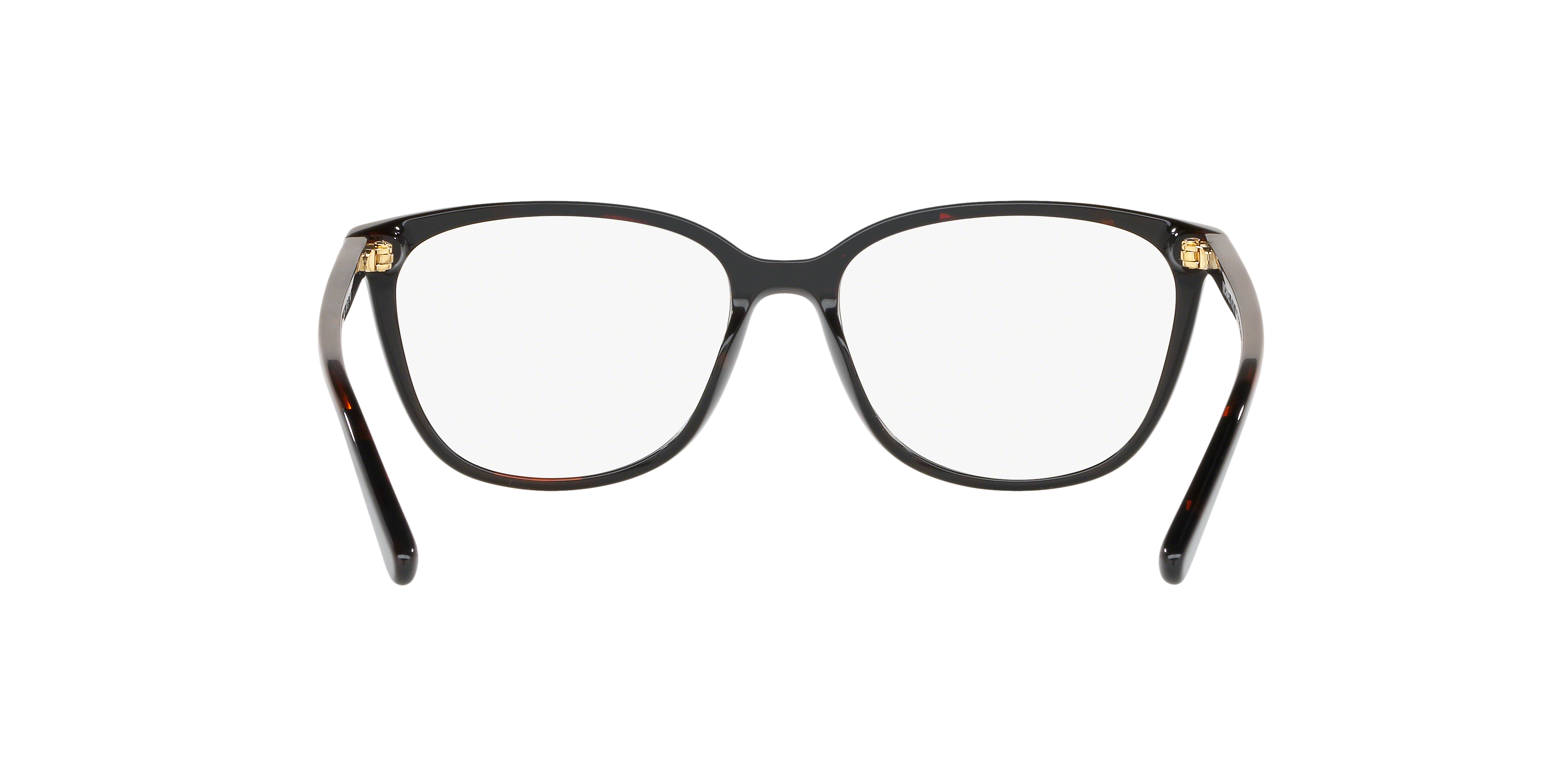 Michael Kors MK4067U SANTA CLARA Glasses | Clearly